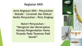 Pengendalian opt pada tanaman padi melalui pendekatan PHT | PPTX