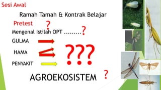 Pengendalian opt pada tanaman padi melalui pendekatan PHT | PPTX