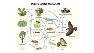 Materi pelajaran Rantai Makanan dan jaring jaring makanan.pdf