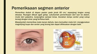 Materi Presentasi KKD Segment anterior.pptx