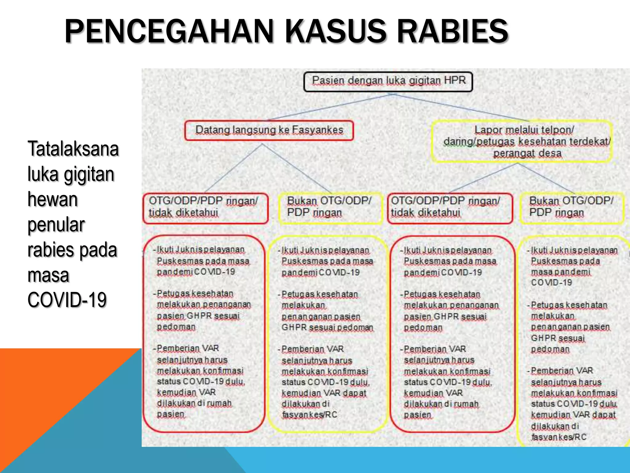 MATERI RABIES.pptx