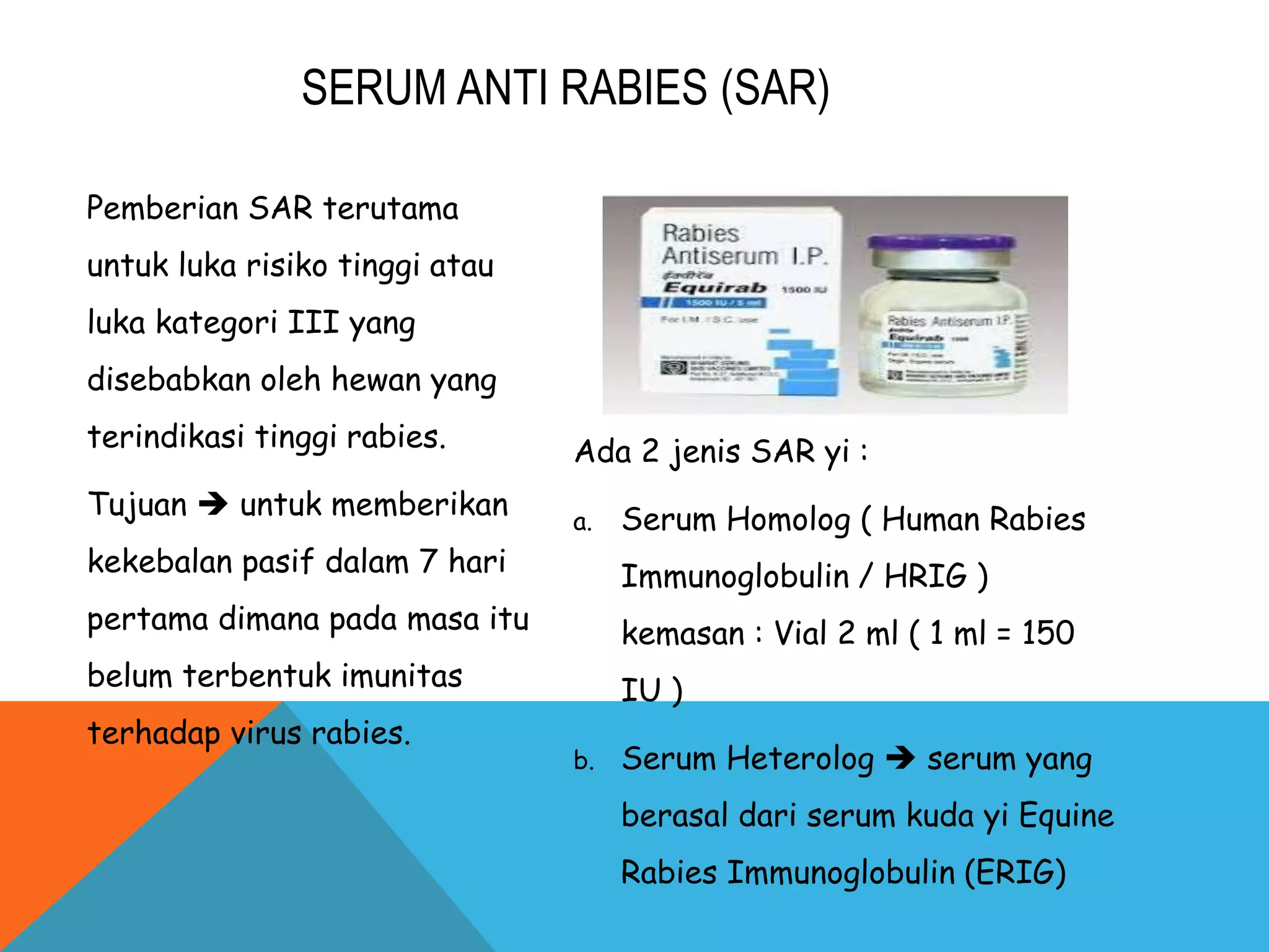 MATERI RABIES.pptx