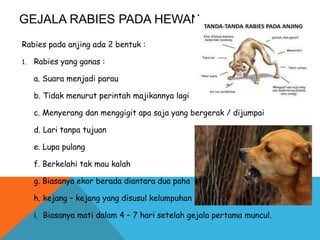 MATERI RABIES.pptx