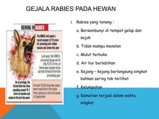 MATERI RABIES.pptx