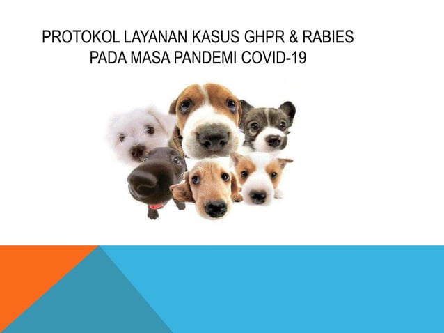 MATERI RABIES.pptx
