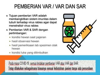 MATERI RABIES.pptx