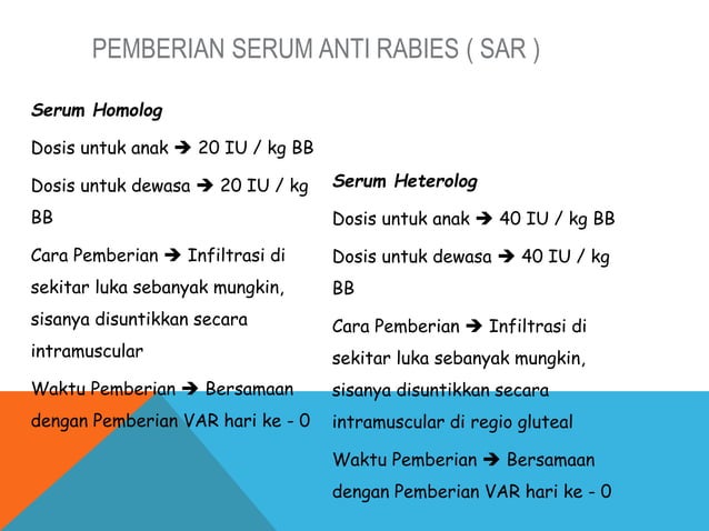 MATERI RABIES.pptx