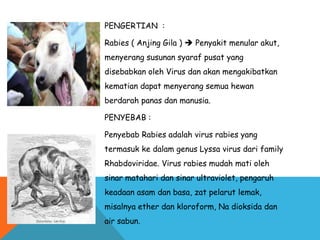 MATERI RABIES.pptx