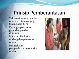 MATERI RABIES.pptx