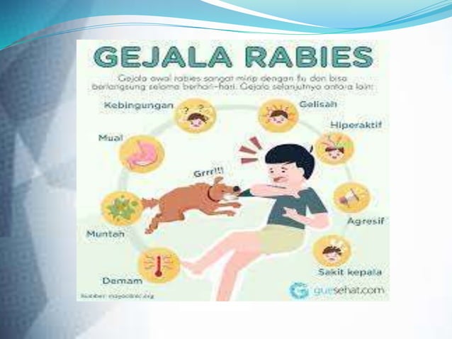 MATERI RABIES.pptx