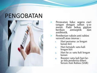 MATERI RABIES.pptx