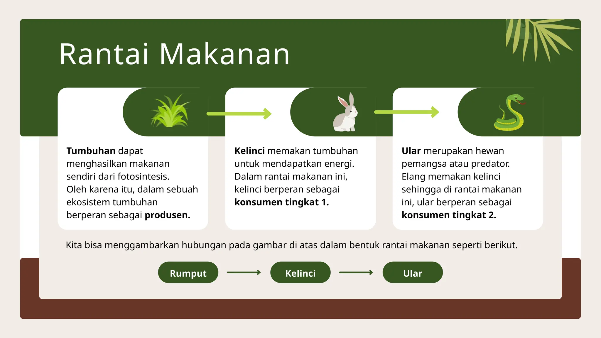 MATERI RANTAI MAKANAN KELAS 5 SEKOLAH DASAR.pptx