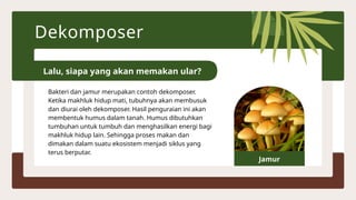 MATERI RANTAI MAKANAN KELAS 5 SEKOLAH DASAR.pptx