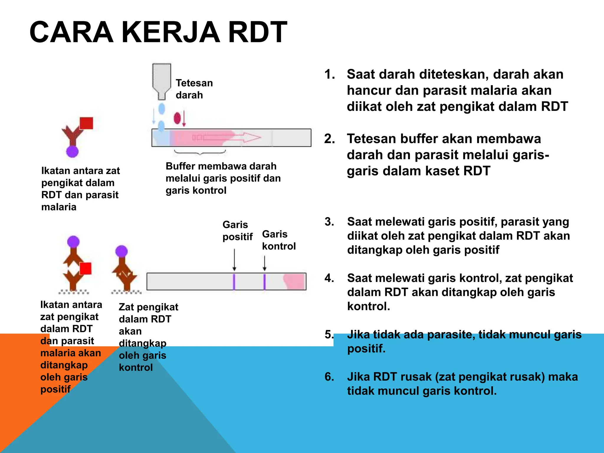 MATERI RAPID DIAGOSTIC TEST (RDT) MALARIA GRANDE.pptx