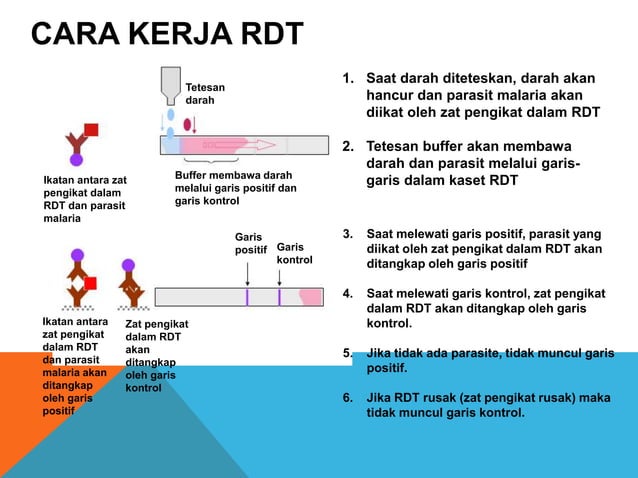 MATERI RAPID DIAGOSTIC TEST (RDT) MALARIA GRANDE.pptx