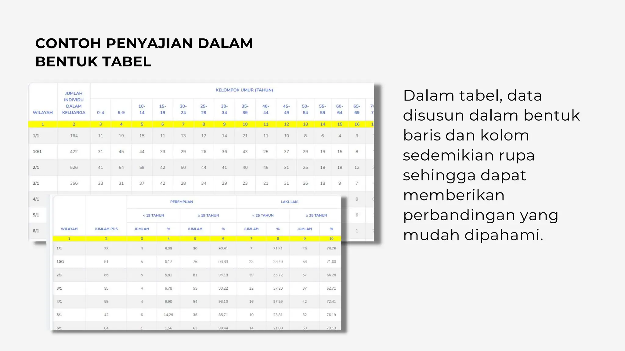 Materi RDK Rumah Data Kependudukan BKKBN.pptx