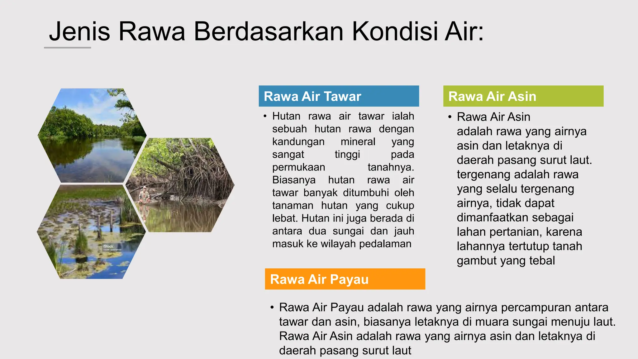 Materi Rekayasa Lahan Rawa 1 Pasang Surut dan Lebak.pptx