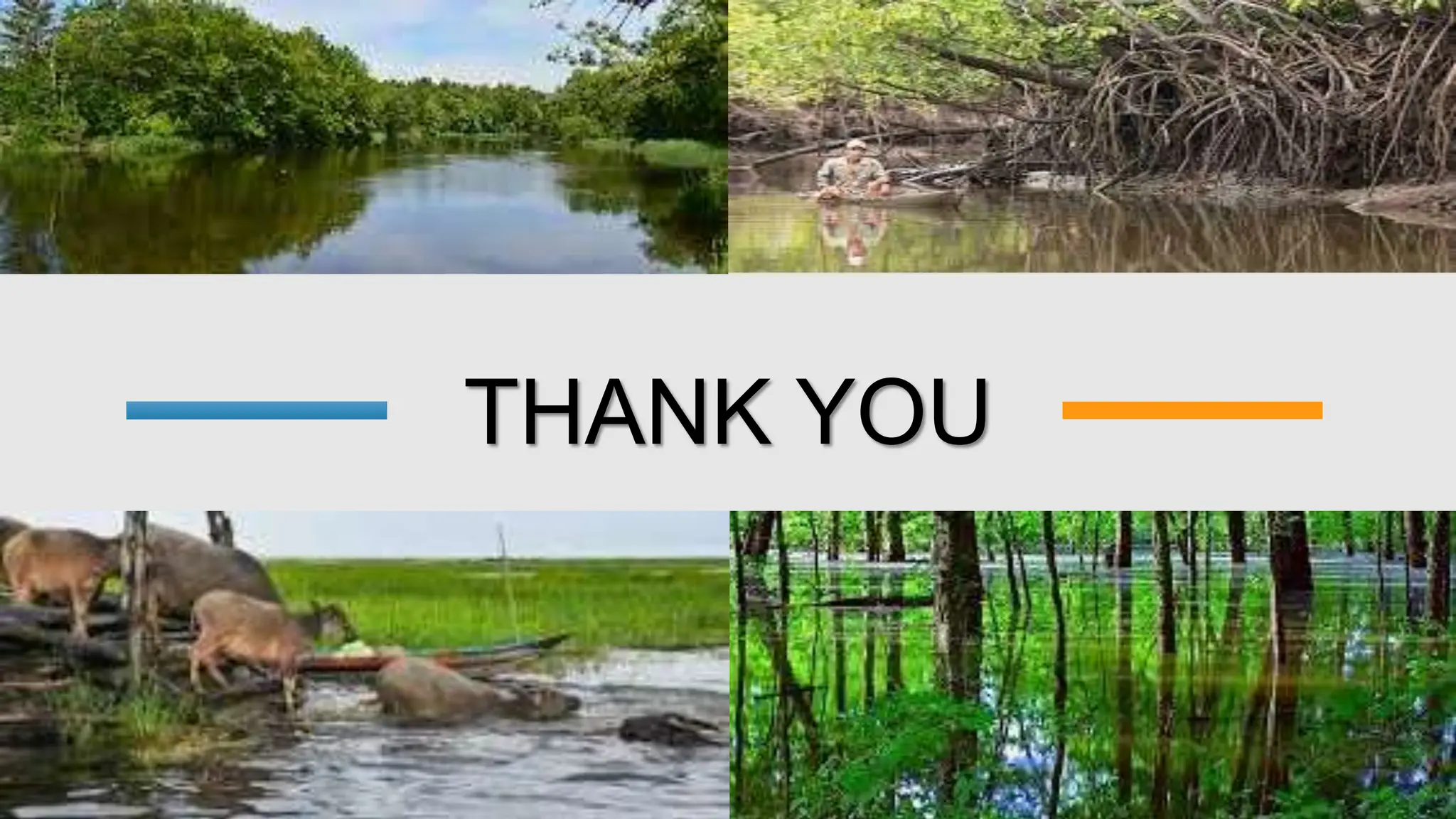 Materi Rekayasa Lahan Rawa 1 Pasang Surut dan Lebak.pptx