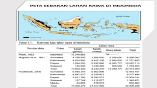 Materi Rekayasa Lahan Rawa 1 Pasang Surut dan Lebak.pptx
