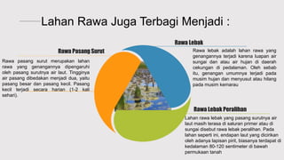 Materi Rekayasa Lahan Rawa 1 Pasang Surut dan Lebak.pptx