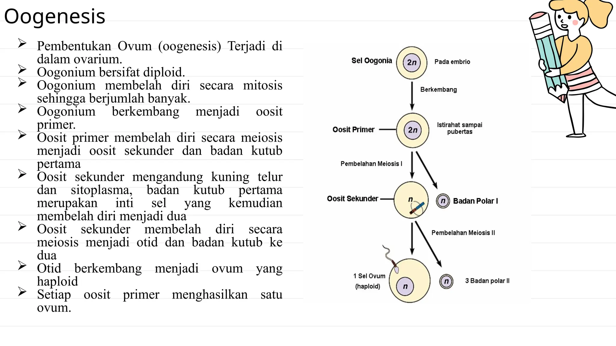 Materi Reproduksi (gematogenesis & spermatogenesis) | PPTX