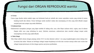 Materi Reproduksi (gematogenesis & spermatogenesis) | PPTX