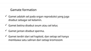 Materi Reproduksi (gematogenesis & spermatogenesis) | PPTX