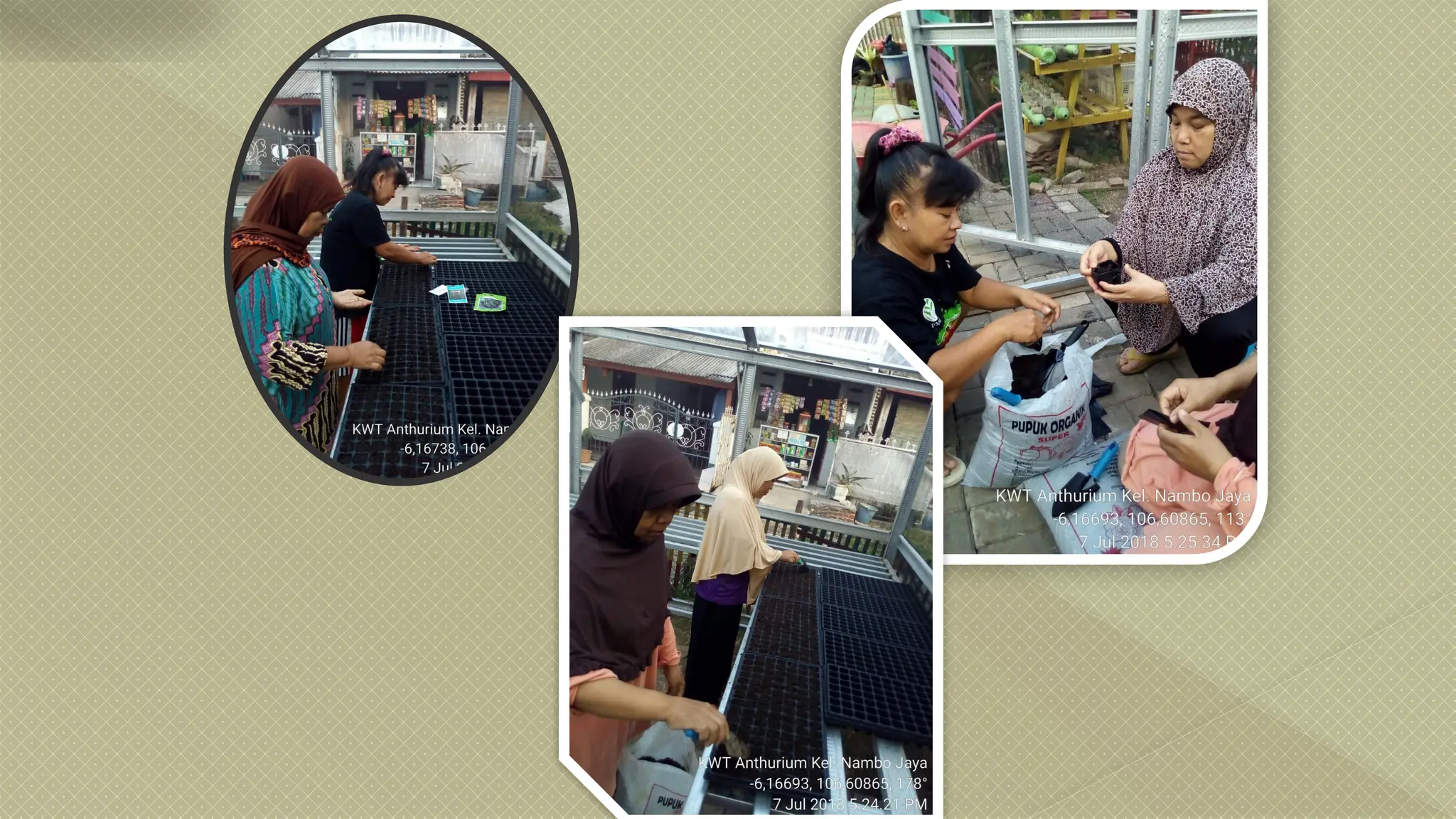 MATERI Rumah bibit sederhana pekarangan rumah | PPTX