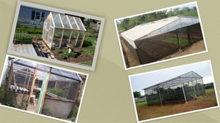 MATERI Rumah bibit sederhana pekarangan rumah | PPT