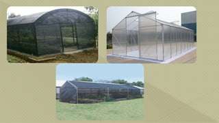 MATERI Rumah bibit sederhana pekarangan rumah | PPT