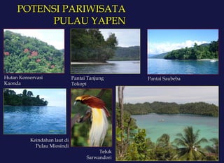 Materi selayang pandang yapen | PPT