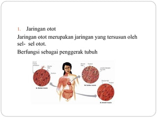 MATERI SEL, JARINGAN, ORGAN DAN SISTEM ORGAN MANUSIA - LUTFI.ppt