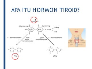 Materi SHK_kemkes UKK ENDOKRINOLOGI.pptx