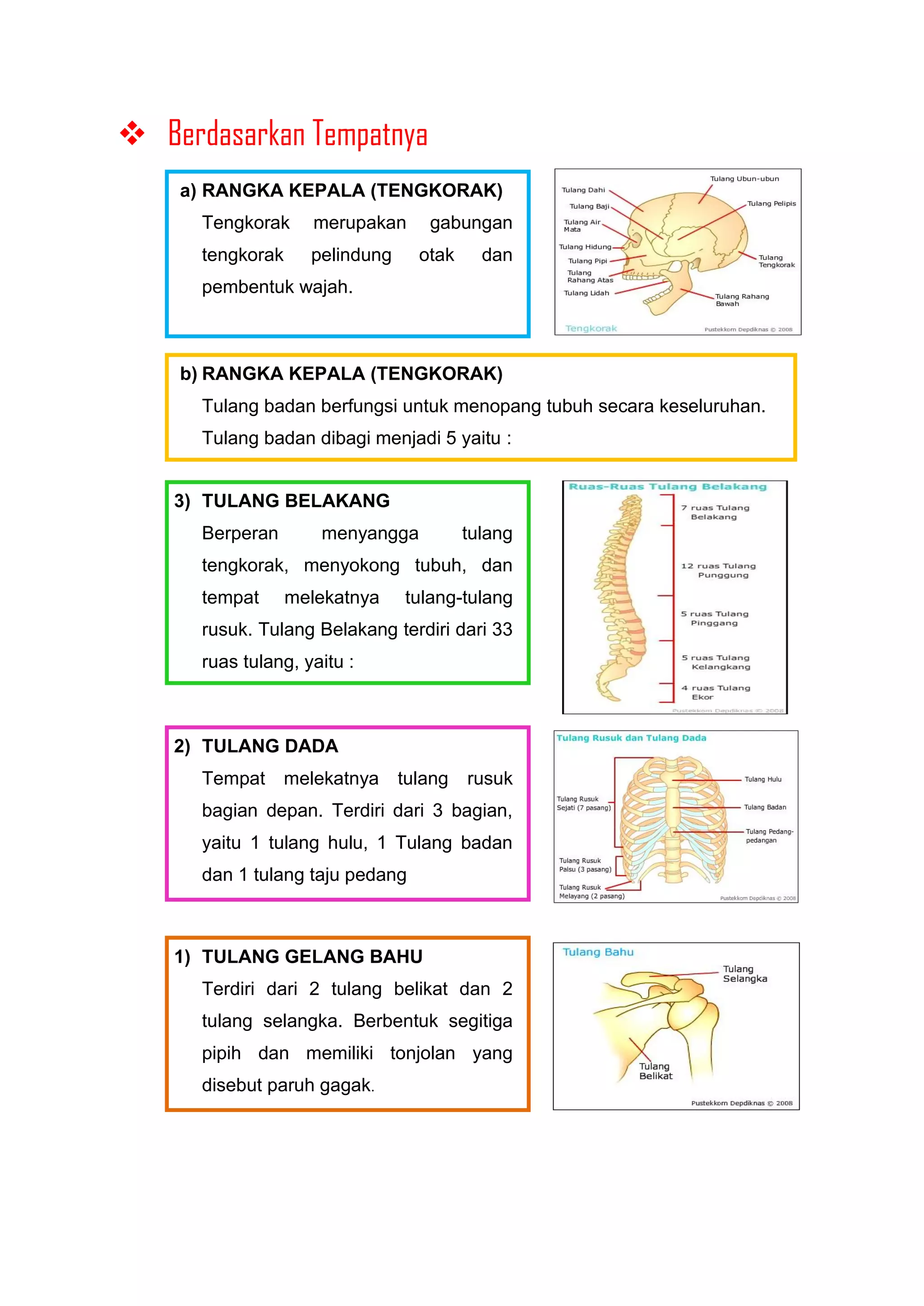 Materi sistem gerak manusia (tulang, sendi, otot) dikonversi (1) | PDF