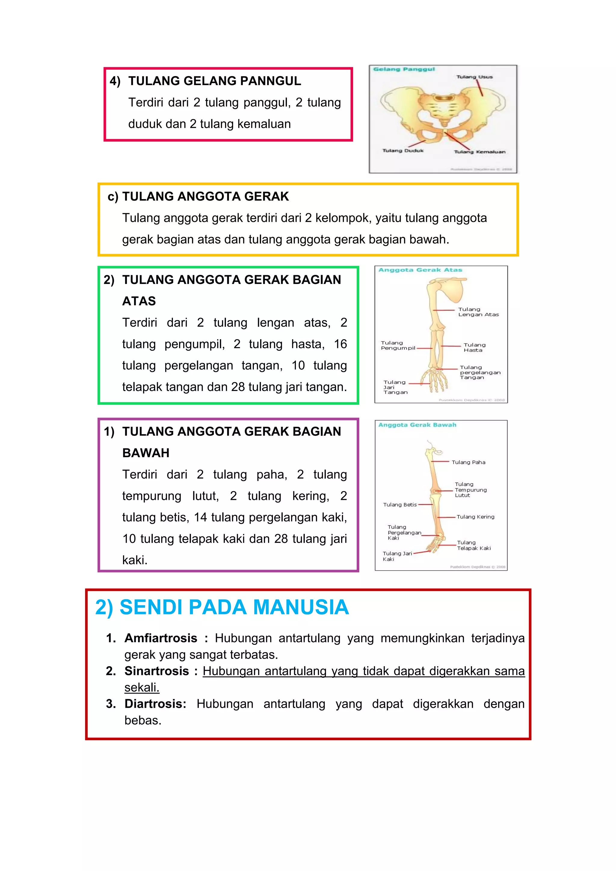 Materi sistem gerak manusia (tulang, sendi, otot) dikonversi (1) | PDF
