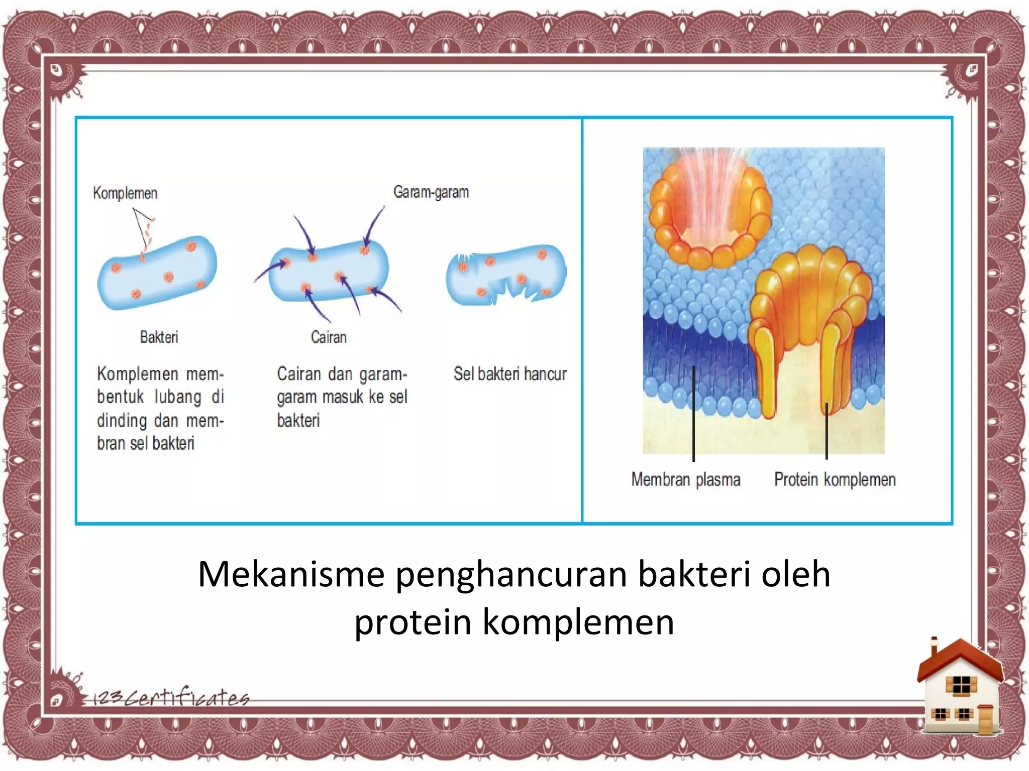 Materi sistem imun | PPT
