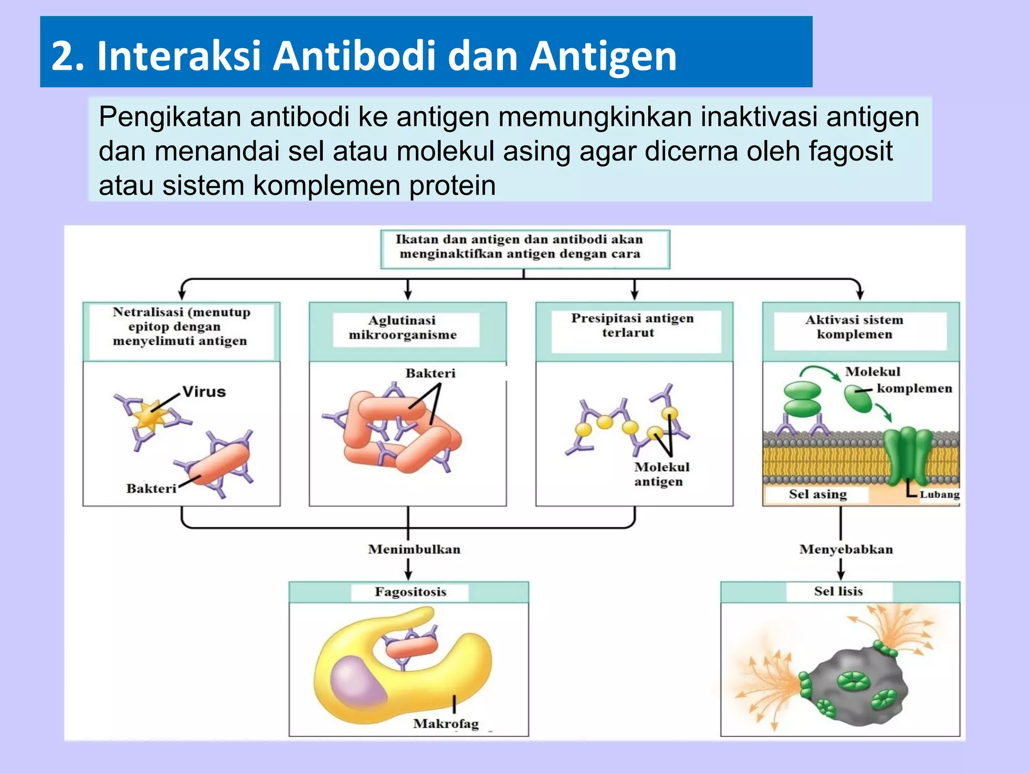 Materi sistem imun | PPT