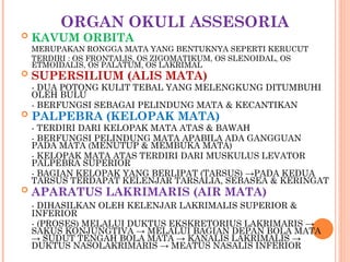 SISTEM PERSEPSI SENSORI ATAU PANCA INDRA | PPT