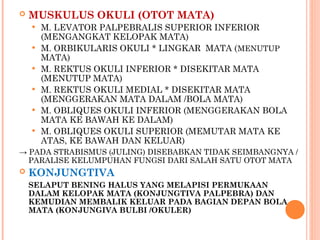 SISTEM PERSEPSI SENSORI ATAU PANCA INDRA | PPT