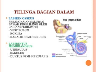 SISTEM PERSEPSI SENSORI ATAU PANCA INDRA | PPT