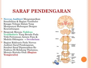SISTEM PERSEPSI SENSORI ATAU PANCA INDRA | PPT