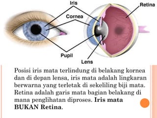 SISTEM PERSEPSI SENSORI ATAU PANCA INDRA | PPT