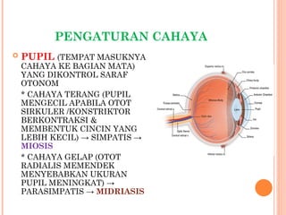 MATERI SISTEM INDRA SENSORI pada manusia.ppt