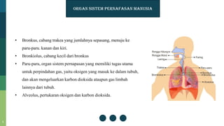 MATERI SISTEM PERNAFASAN KELOMPOK 2.pptx
