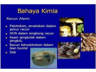 Materi Sosialisasi Pangan-B2SA 2024 alas | PDF