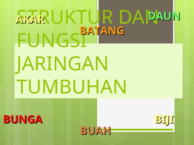 MATERI STRUKTUR DAN FUNGSI TUBUHAN.ppt.. | PPT