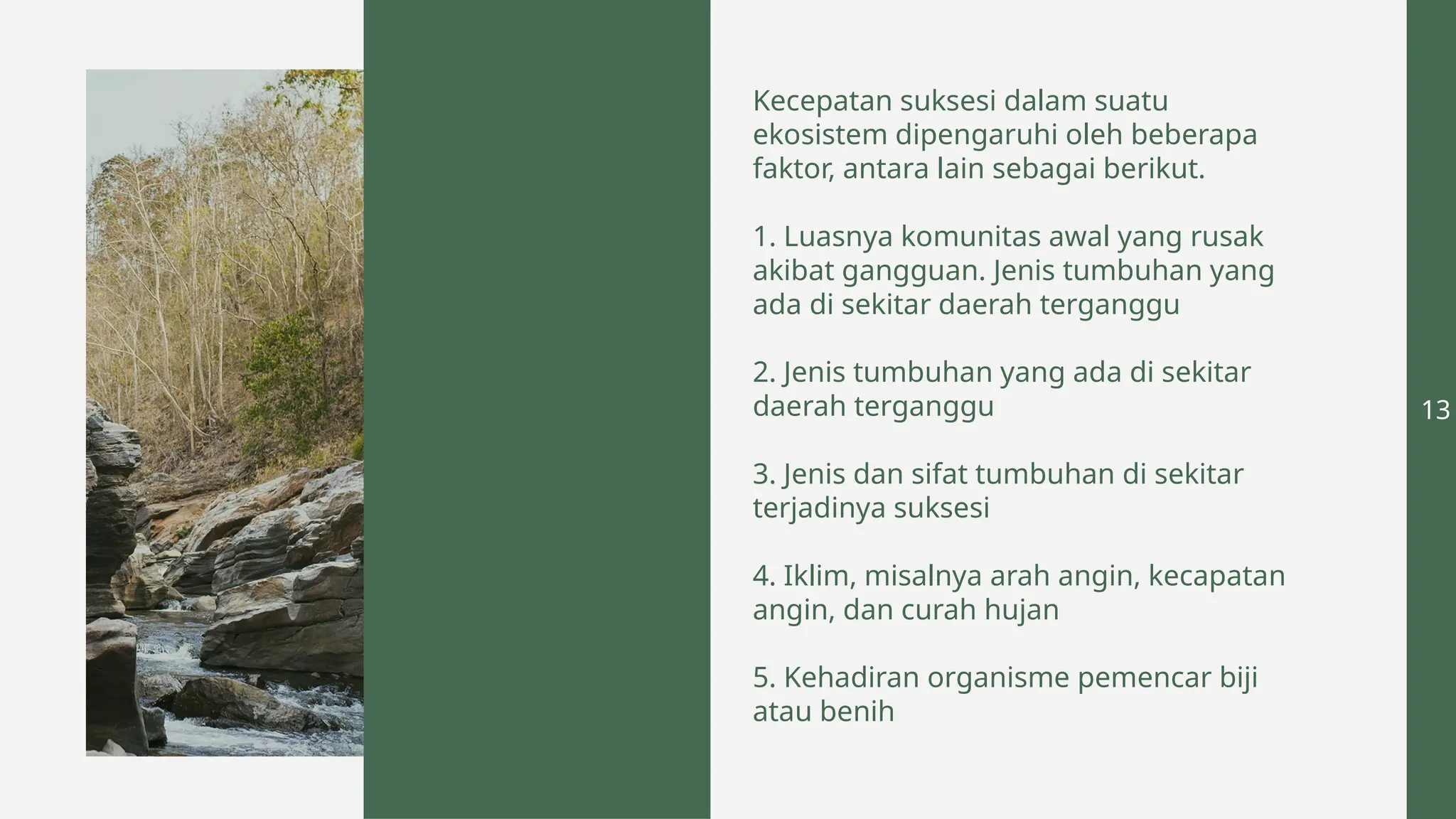 Materi Suksesi Kelas X fase e SMA/MA.pptx