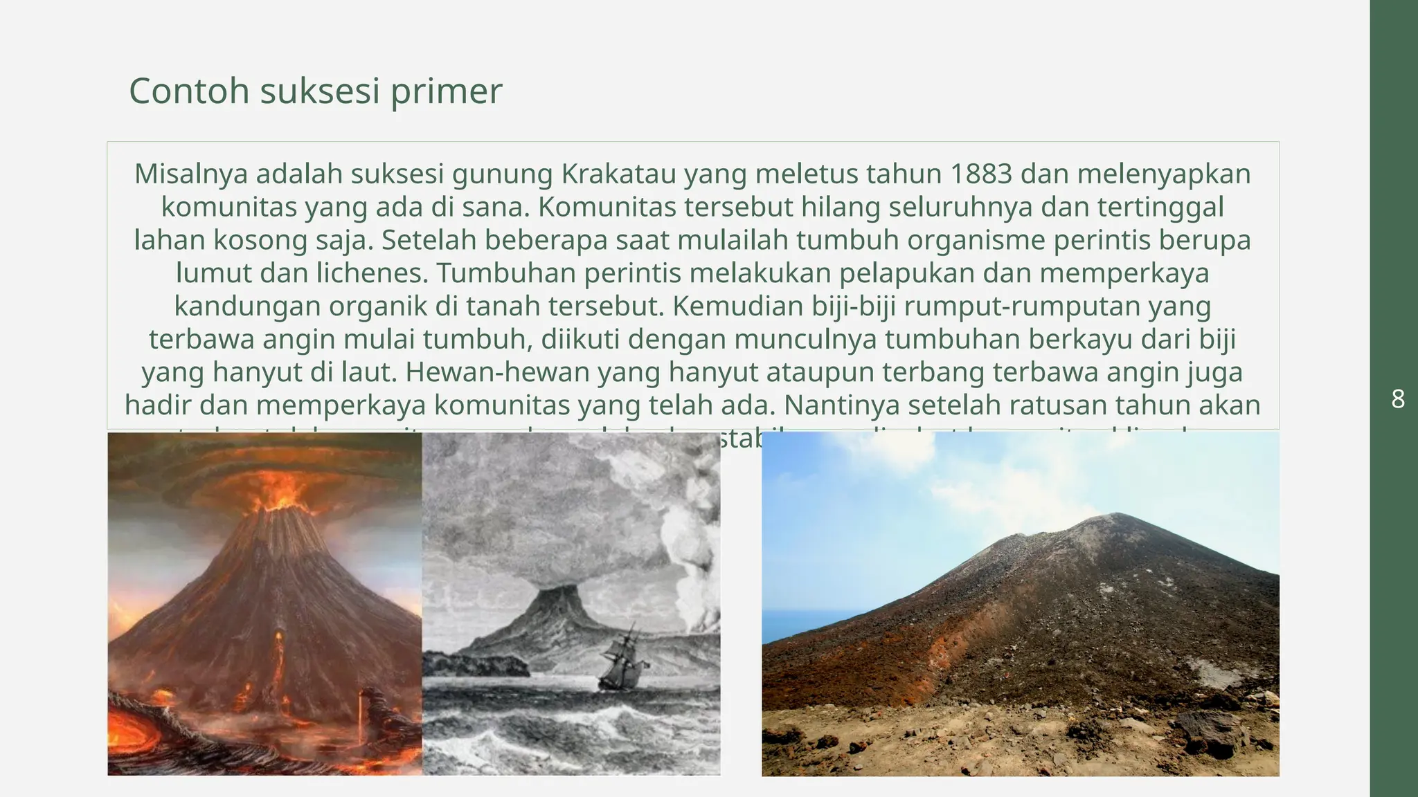 Materi Suksesi Kelas X fase e SMA/MA.pptx