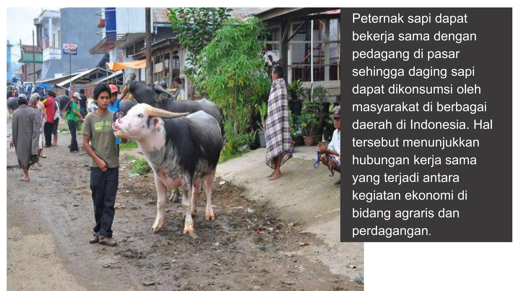 Materi Tema 8,Sub tema 1, Pembelajaran 4.pptx