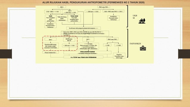 Materi tatalaksana standar operasional prosedur stunting.pdf